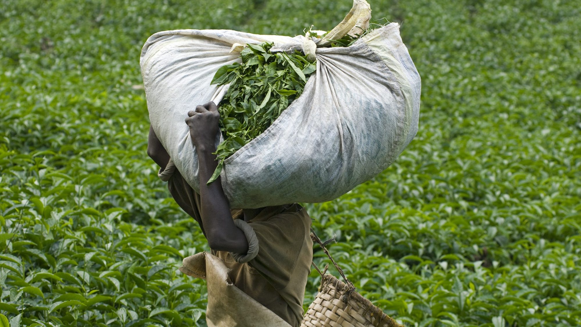 UK's dangerous Safety of Rwanda Act raises exploitation risks | Walk Free