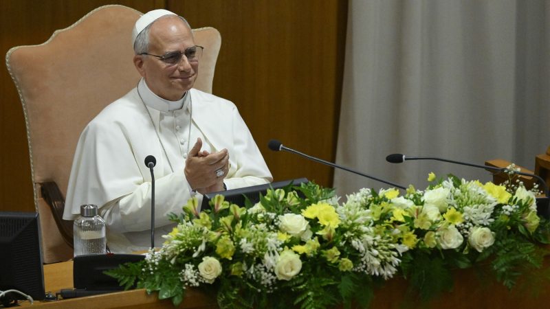 Pope Leo adds to growing concerns about modern slavery risks across AI ...